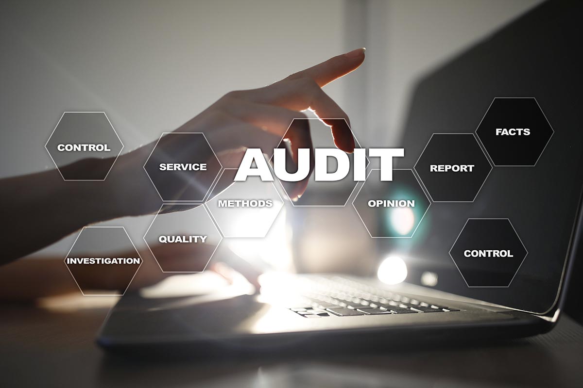 Your Leading Audit and Consulting Partner - Owino Associates